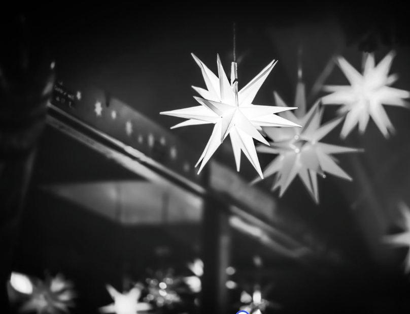 IUFI – Institute of Urban Farming Innovation